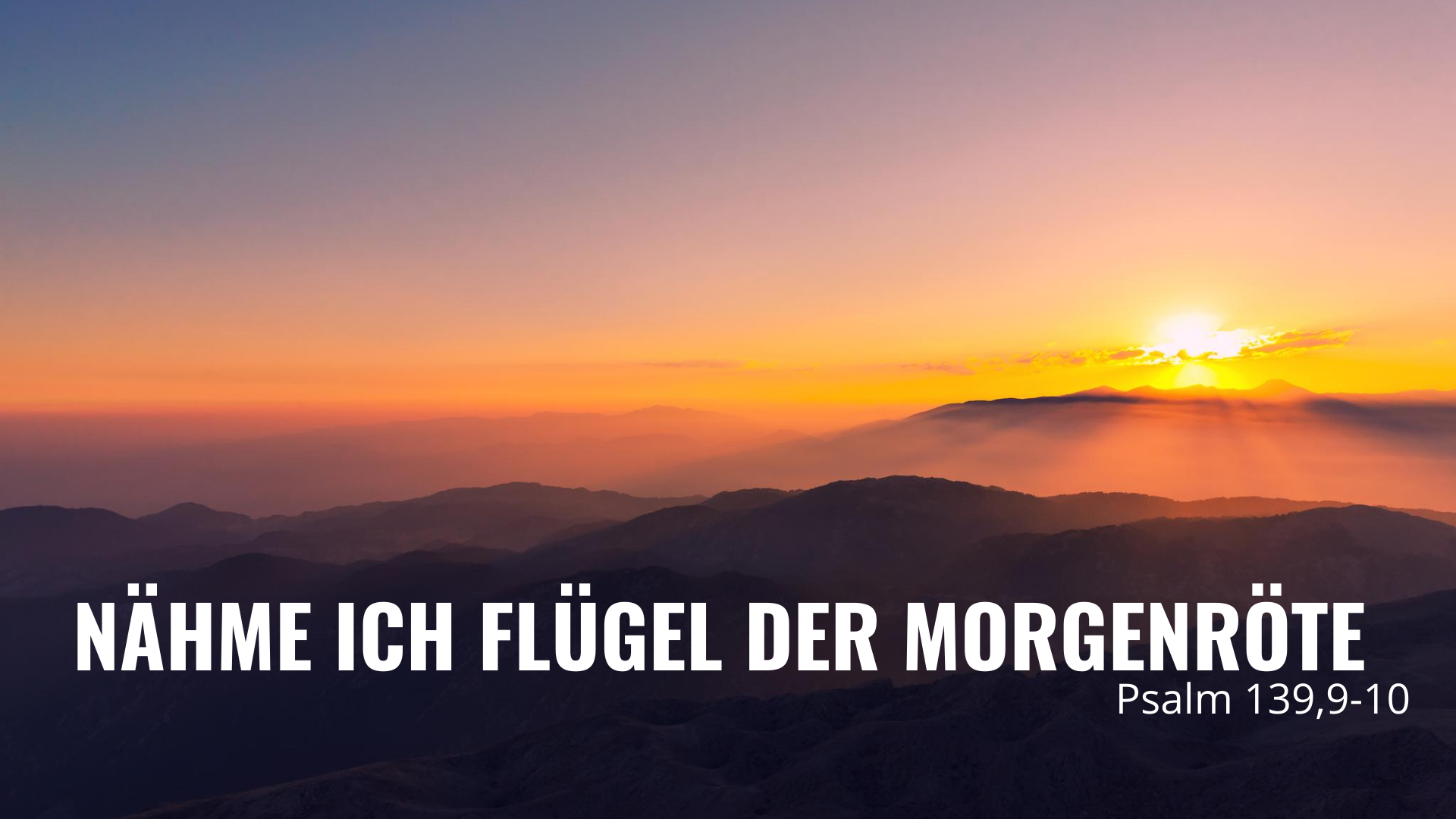 Folge 92 N hme Ich Fl gel Der Morgenr te Psalm 139 